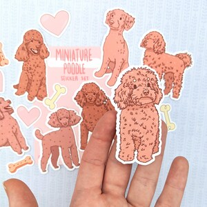 Miniature Poodle Stickers - Cute Dog Sticker Set - Apricot Red Mini ...