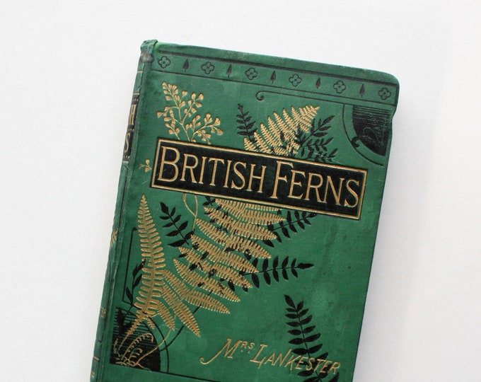 Victorian Fern Book - British Ferns - Antique 1800s Botany Guide ...
