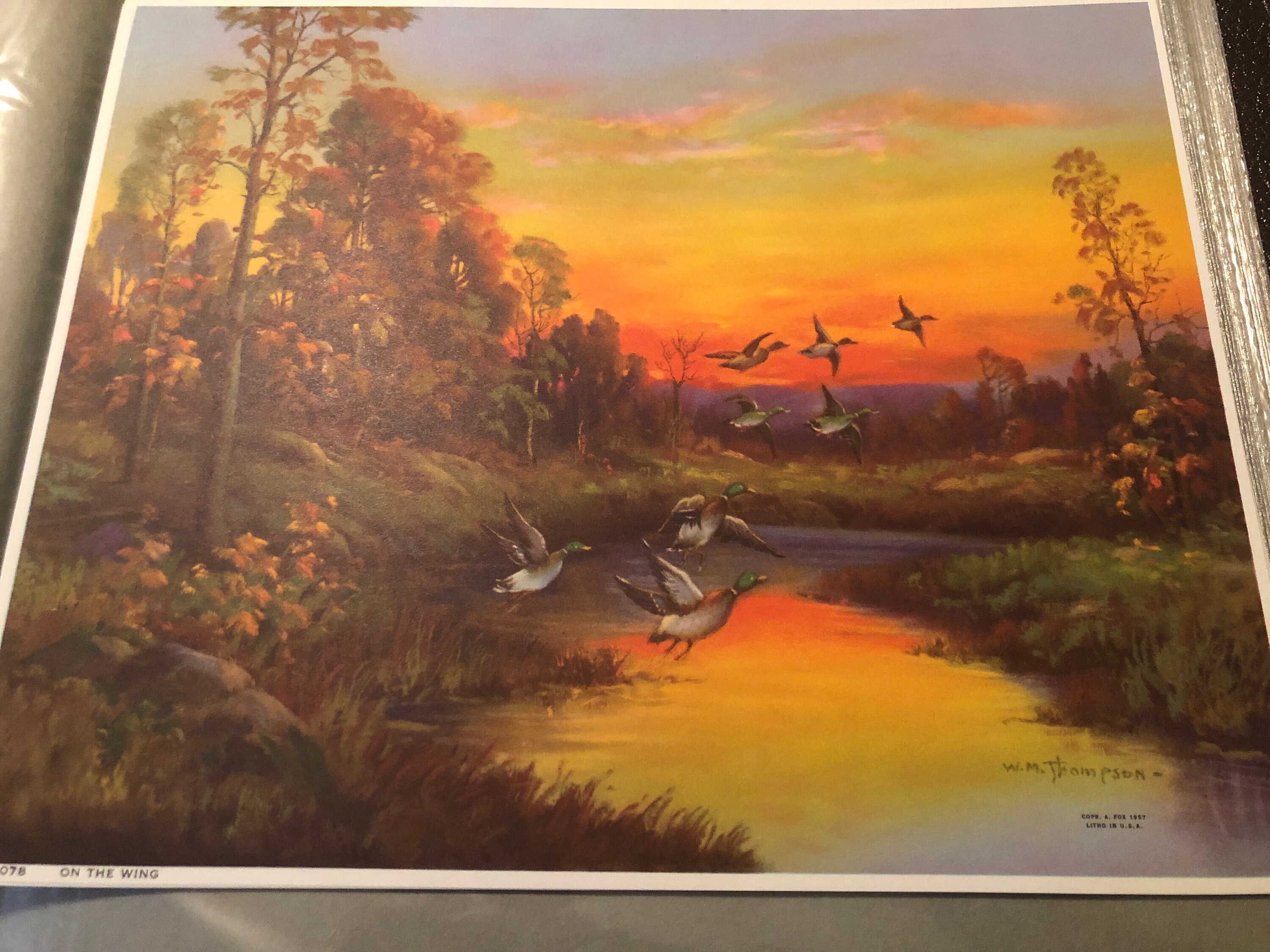 W.M Thompson on the Wing Litho Vintage - Etsy