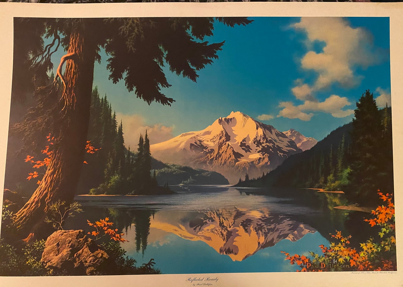 X Large Reflected Beauty Paul Detlefsen Vintage Print 41x27 | Etsy