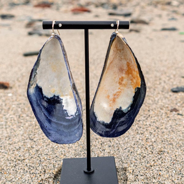 Mussel Shell Earring - Etsy