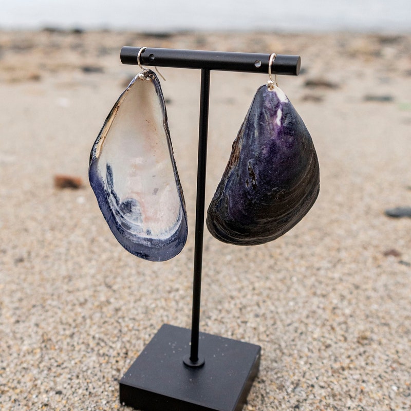 Mussel Shell Earring - Etsy