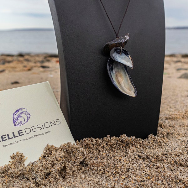 Mussel Shells - Etsy