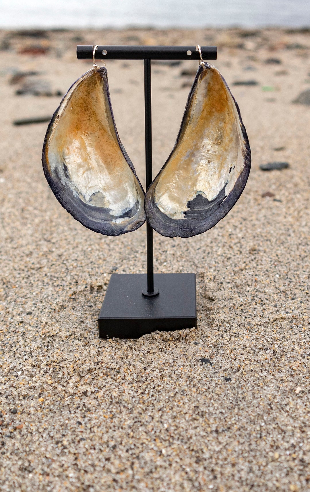 Mussel Shell Earrings - Etsy