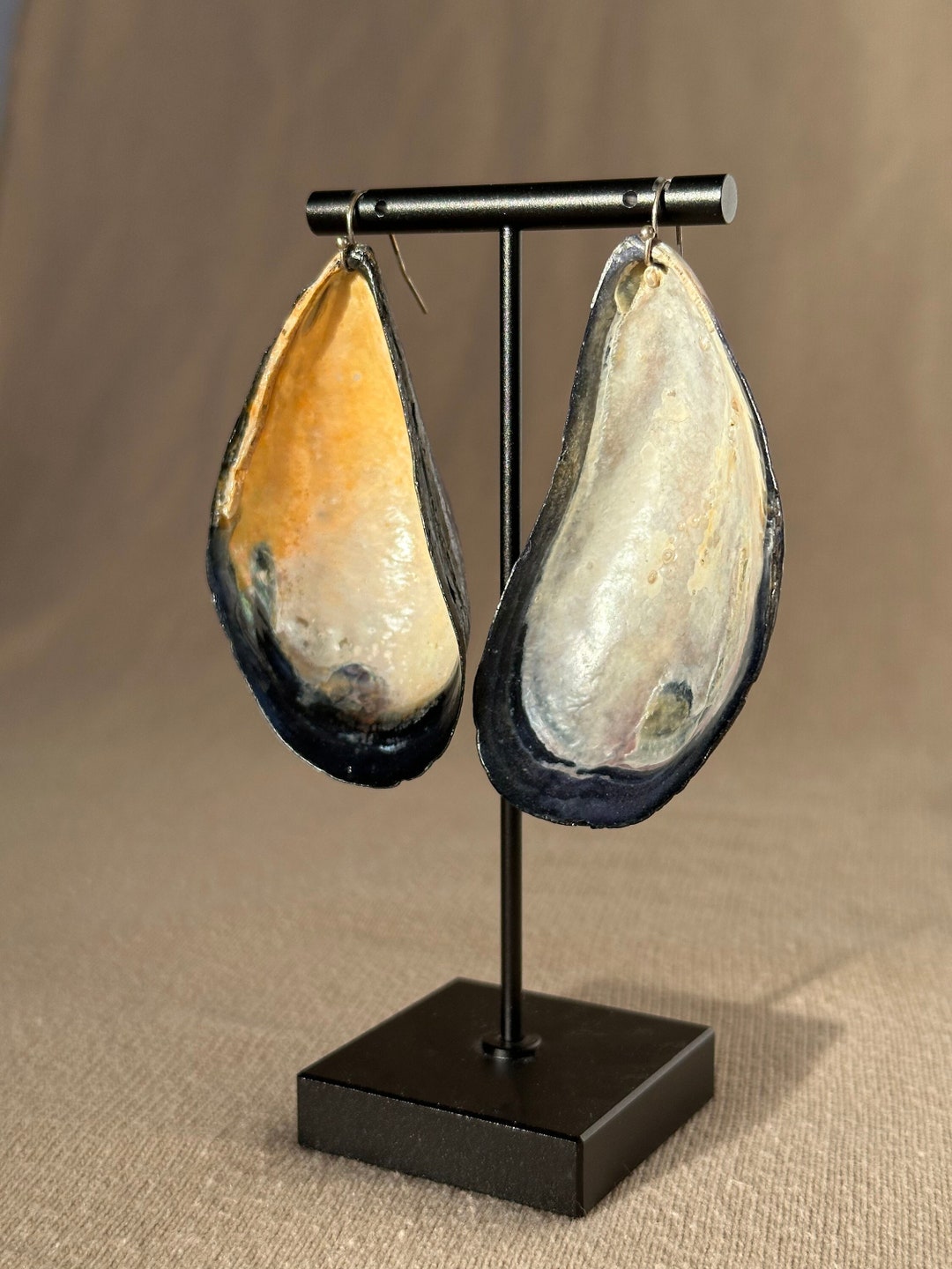 Mussel Shell Earrings - Etsy