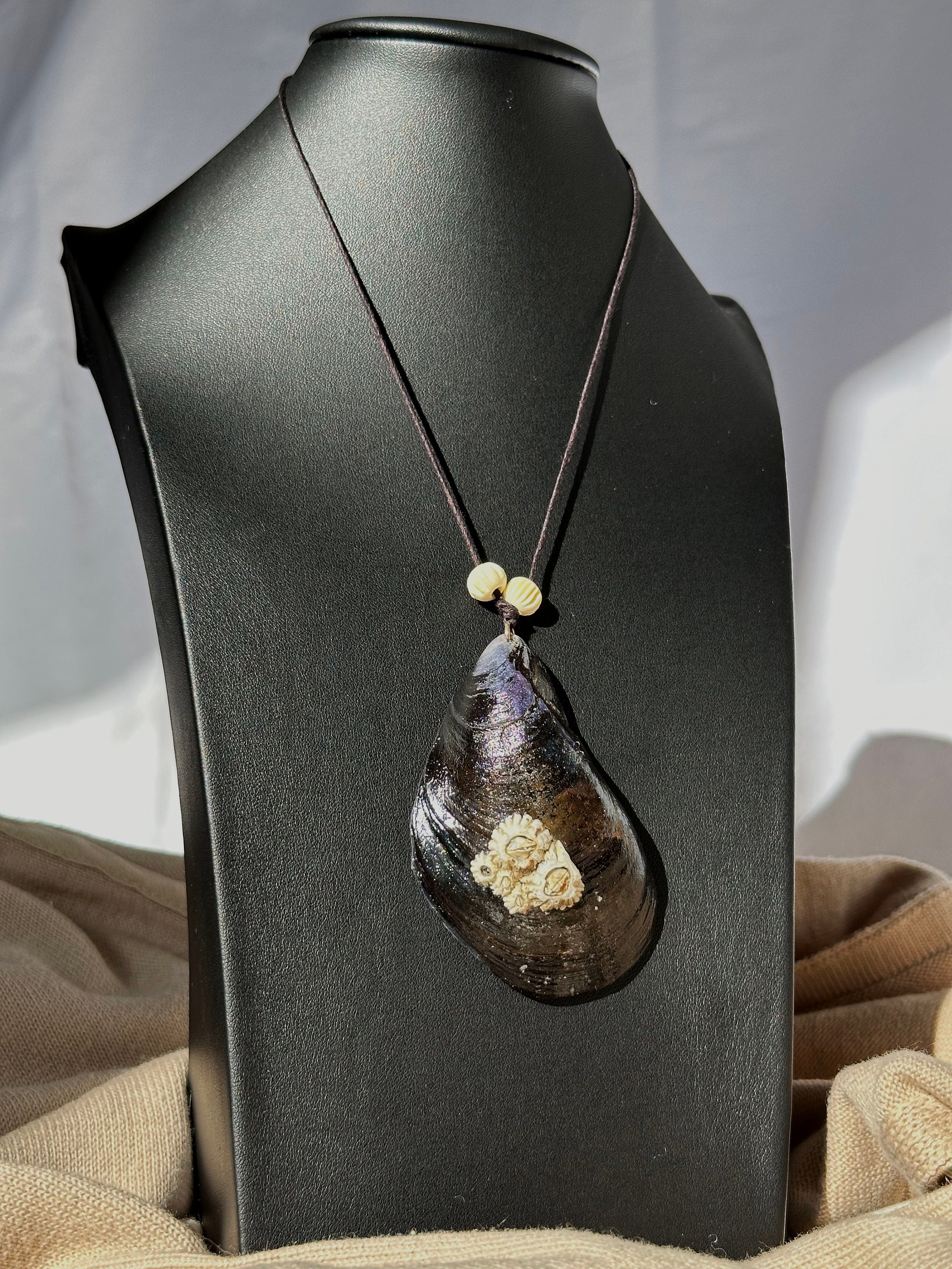 Southern Maine Mussel Shell Necklace - Etsy