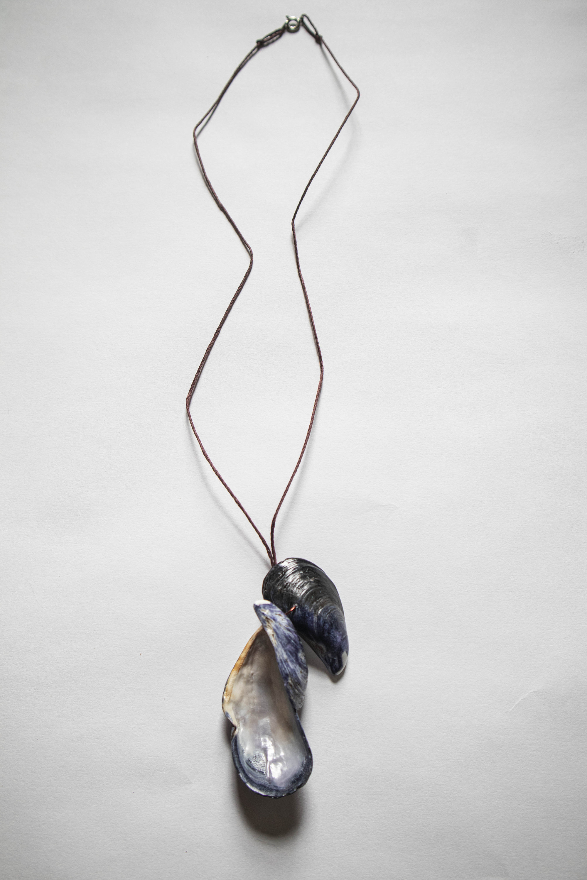 Mussel Shell Necklace - Etsy