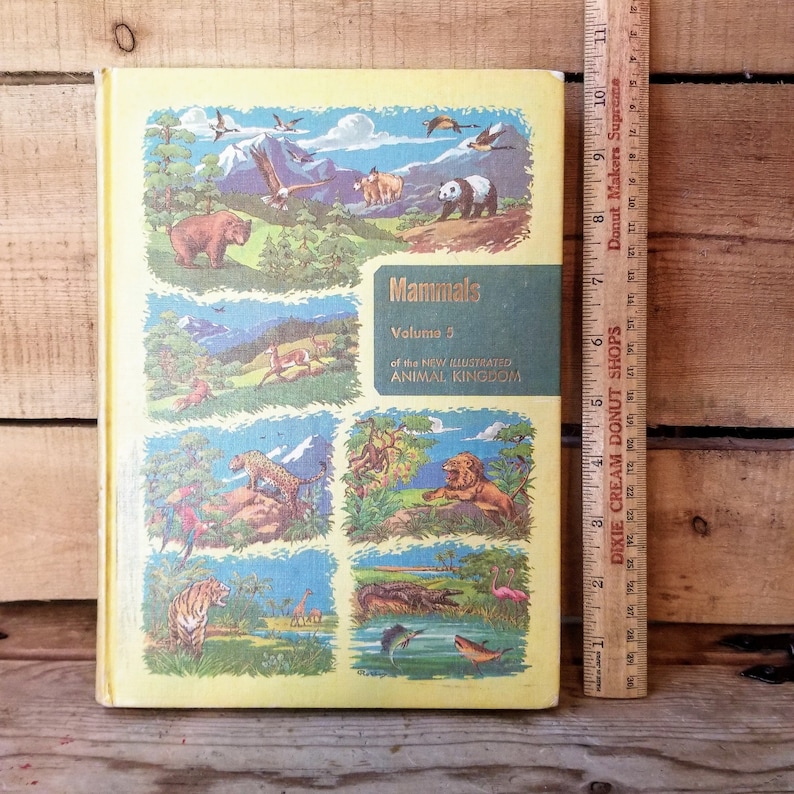 Vintage Mammals Book Mammals Volume 5 Animal Kingdom Book - Etsy