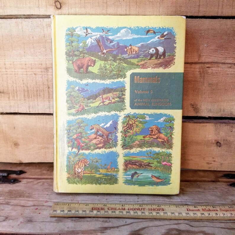 Vintage Mammals Book Mammals Volume 5 Animal Kingdom Book | Etsy