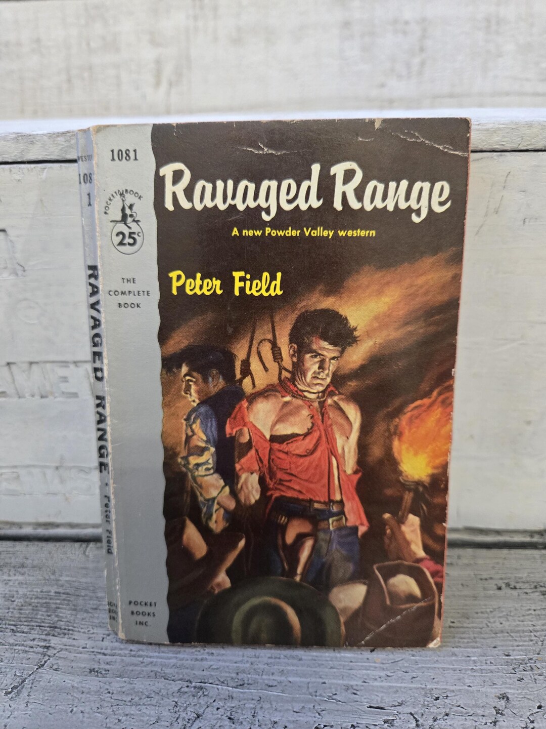 Ravaged Range Book by Peter Field, Vintage Western Paperback, Vintage ...