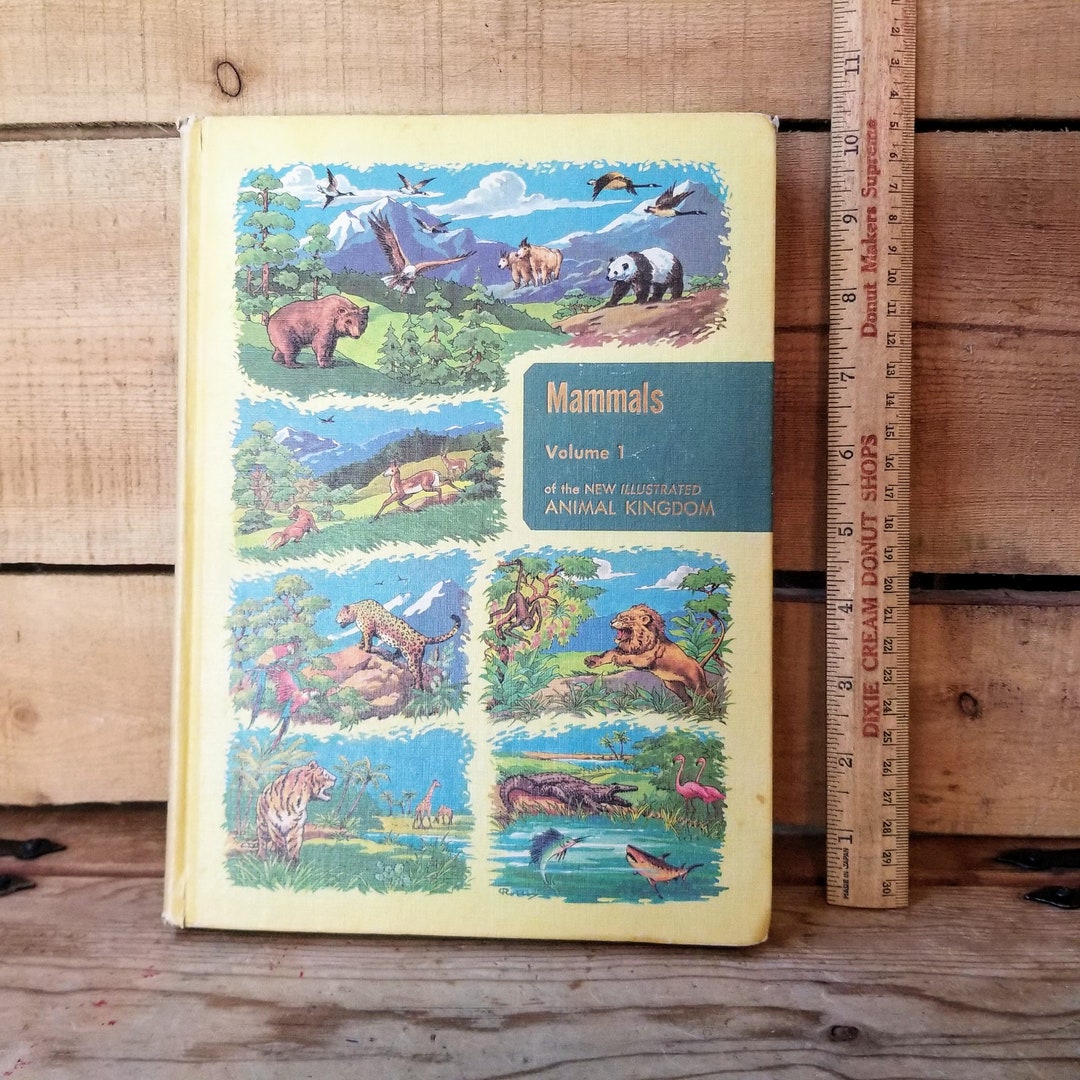 Vintage Mammals Book, Mammals Volume 1, Animal Kingdom Book Vintage ...