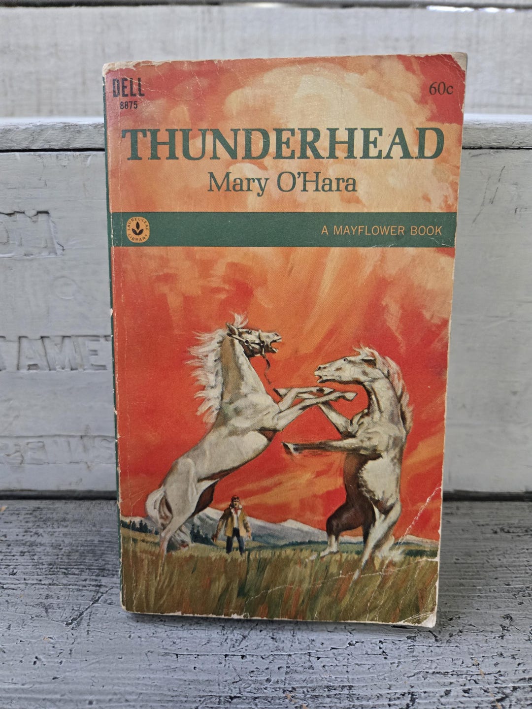 Thunderhead Book by Mary O'hara Vintage, Horse Book Vintage, Thunderhead Paperback, Vintage Mary ...