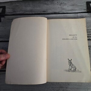 Brighty of the Grand Canyon Book, Marguerite Henry, Vintage Brighty of ...