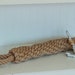 Rope Fender Knotted Rope Decor Rustic Beach Decor Nautical Decor ...