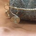 Pair of Spiral Slavic Temple Rings. Western Slavic Temple - Etsy