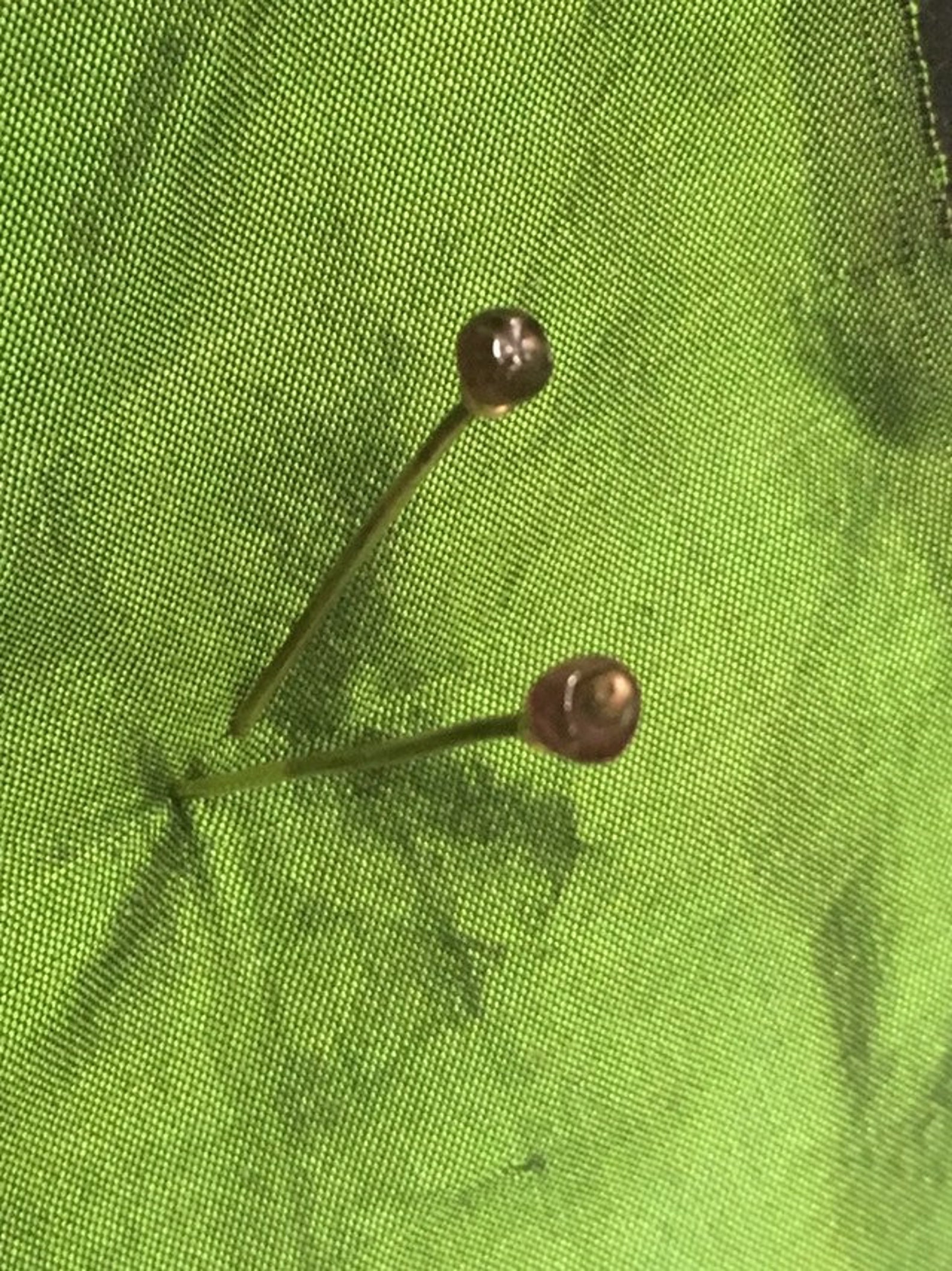 PAIR of Brass Medieval Veil Pins. Medieval Dress Pin. | Etsy