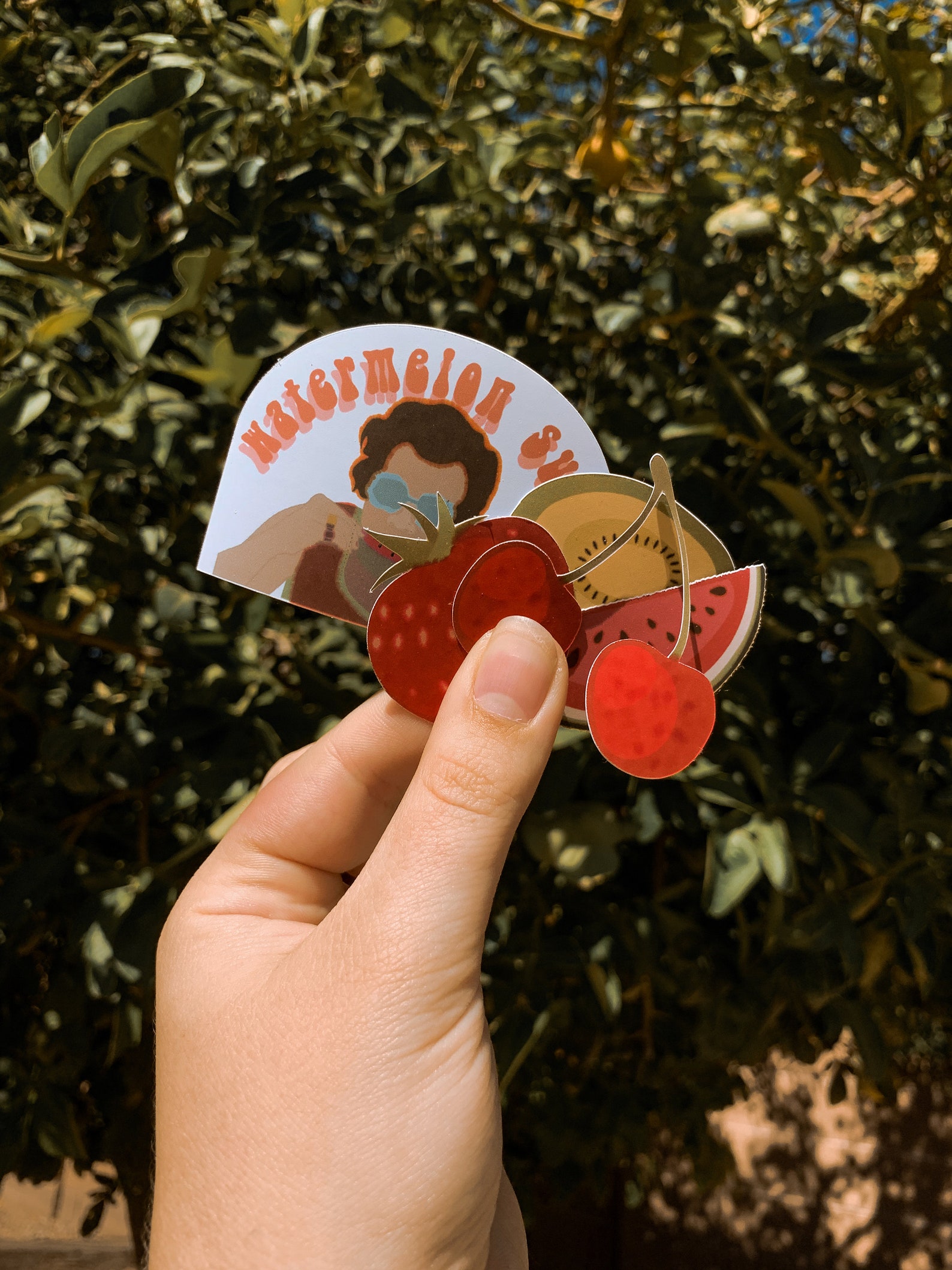 Harry Styles Fruit Salad Watermelon Sugar Sticker Pack | Etsy