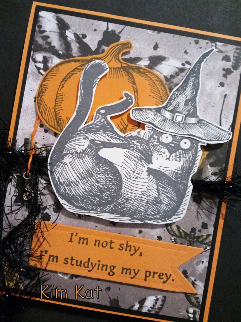 Halloween Black Cat Card Pop up 3D Funny Not Shy Studying My - Etsy