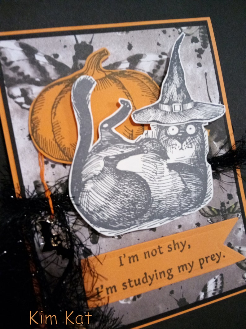 Halloween Black Cat Card Pop up 3D Funny Not Shy Studying My - Etsy