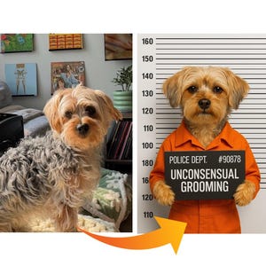 Custom Dog Mug Shot Portrait – Personalized Dog Art | Funny Dog Gifts ...