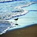 Santa Barbara Greeting Cards Set of 12 Cards and Envelopes With ...