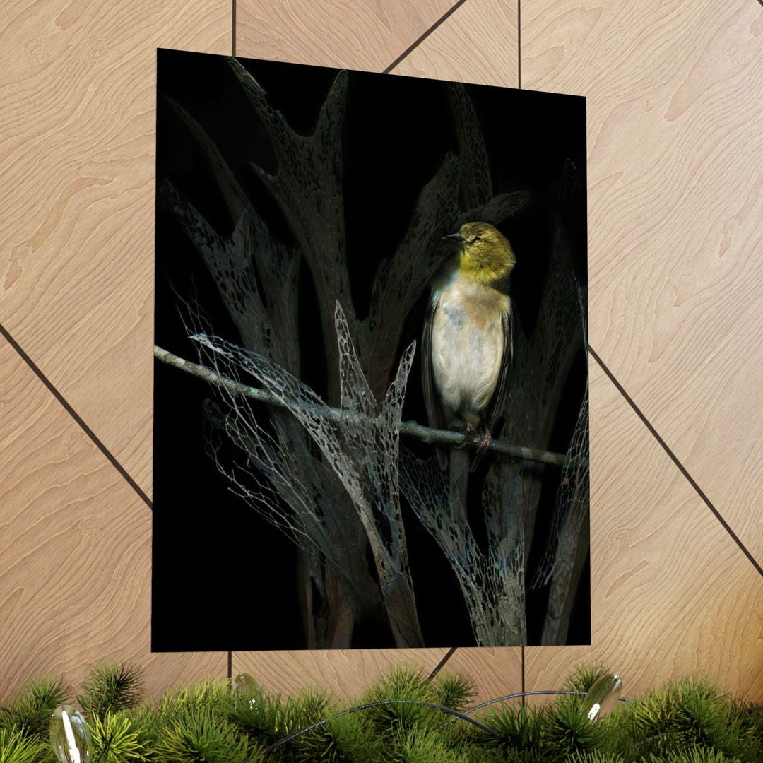 Dark Goldfinch Art Print, Staghorn Fern, Goth Halloween Decor - Etsy