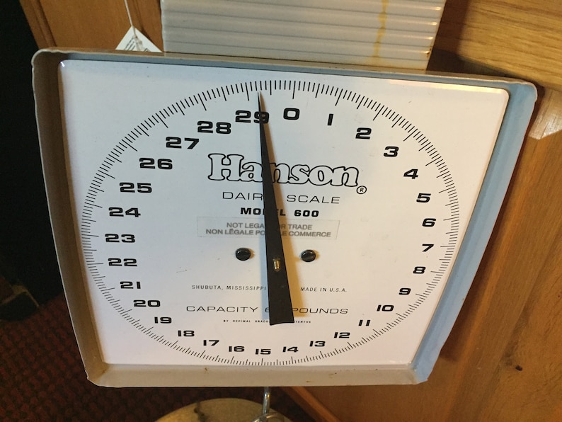 Vintage Galvanized Hanson Dairy Scale Model 600 - Farmhouse Decor - Etsy