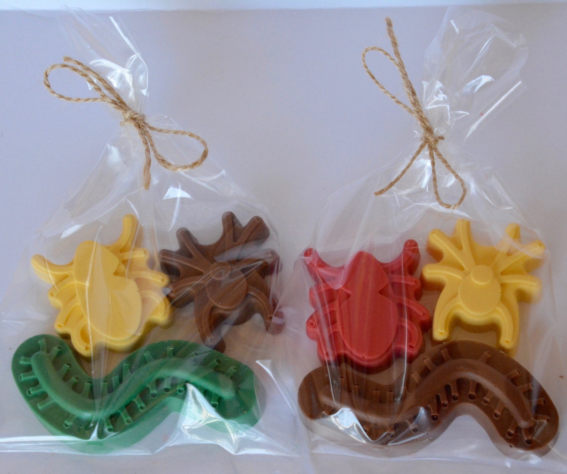 Chocolate Insect Favors 12 Chocolate Bugs Chocolate | Etsy