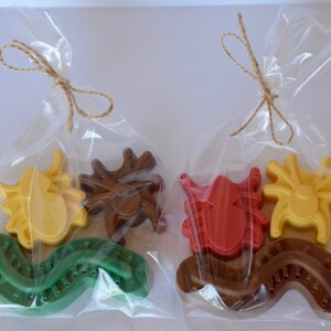 Chocolate Insect Favors (12), Chocolate Bugs, Chocolate Insects ...