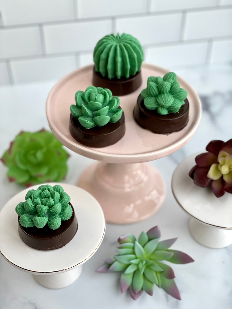 Set of 4 Succulent Cookies Succulent Favors Wedding Favors - Etsy