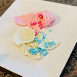 6 Chocolate Clam Shells, Mermaid Breakable, Mermaid Tail, Breakable ...