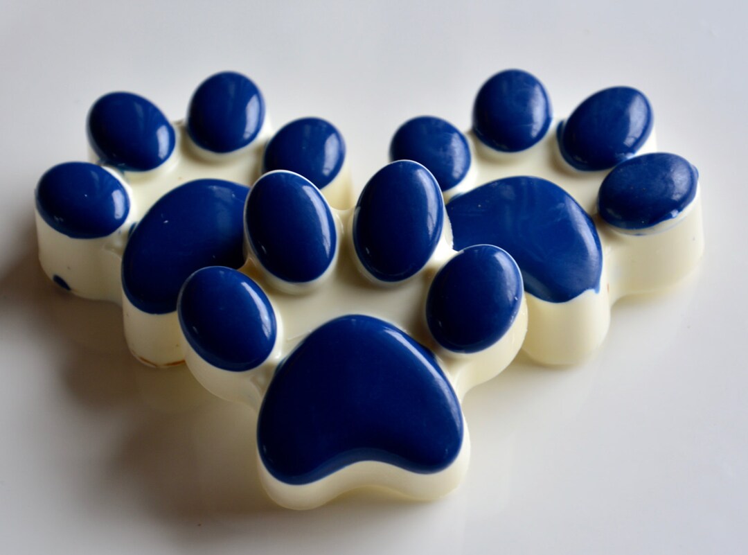 Penn State Chocolate Covered Cookies(6), PSU, Penn State Football ...
