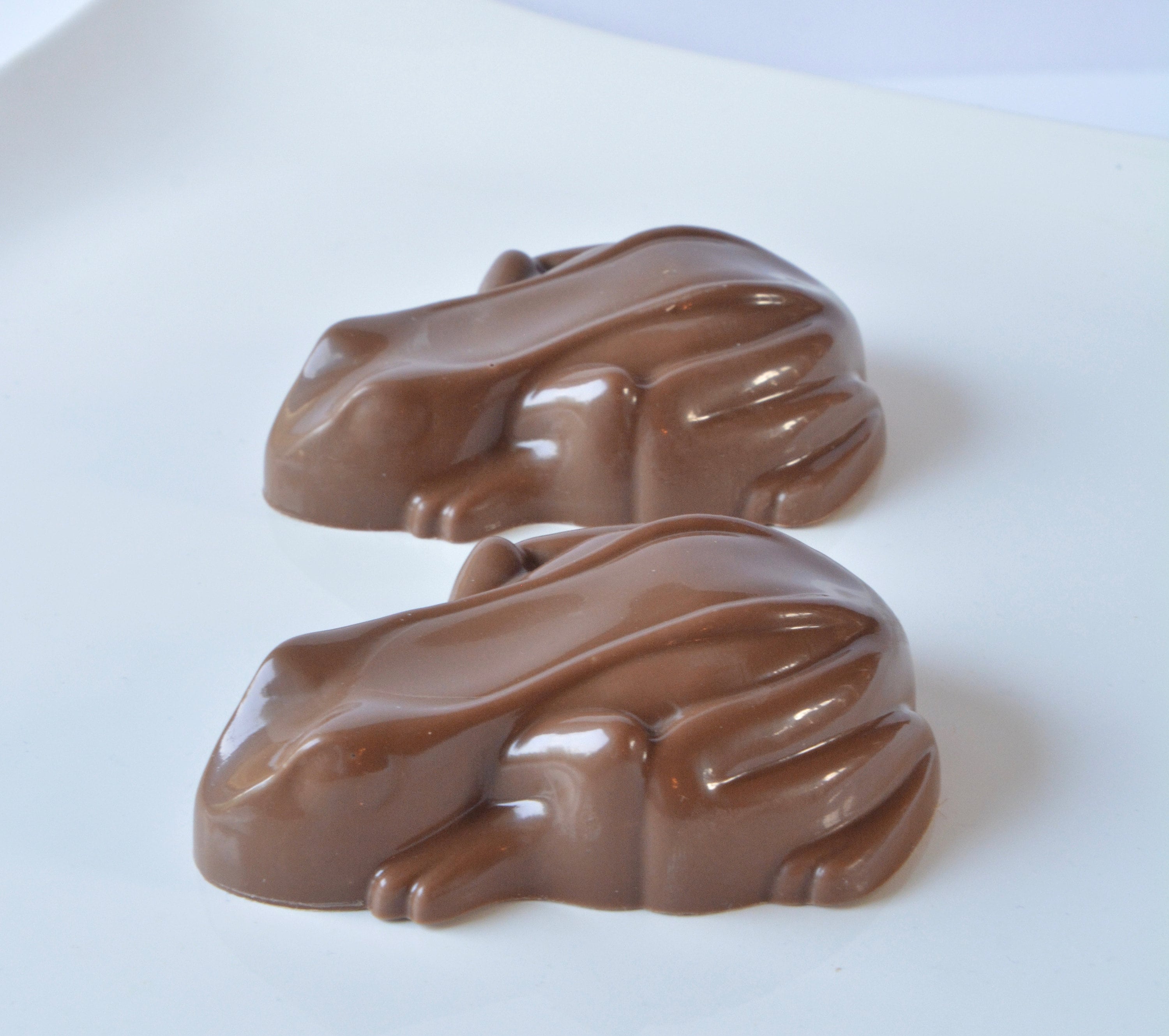 Wizard, Magic, Chocolate Frog, Wizard Birthday, Potter, Wizard Gifts ...