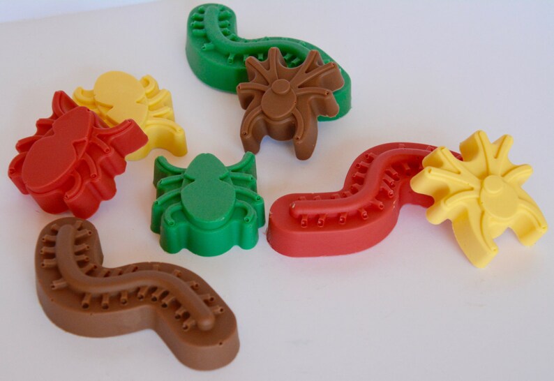 Chocolate Insect Favors 12 Chocolate Bugs Chocolate | Etsy