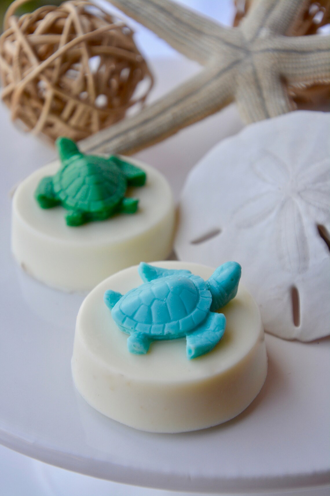 Turtle Cookies Sea Turtle Save the Turtles Beach Cookies | Etsy