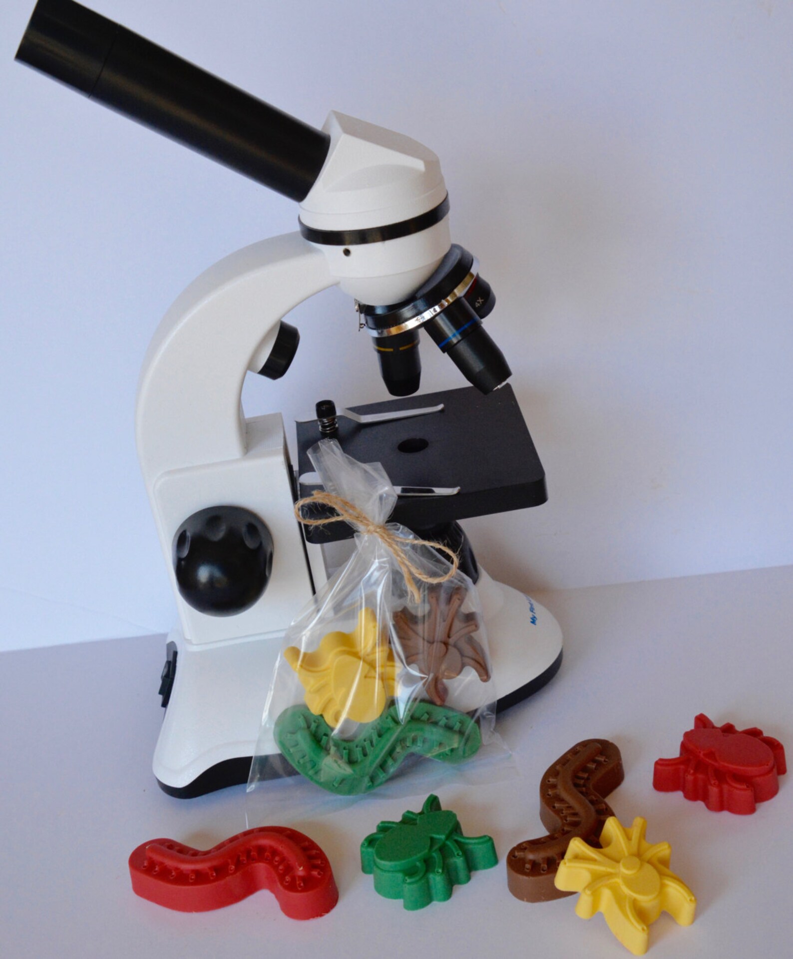 Chocolate Insect Favors (12), Chocolate Bugs, Chocolate Insects ...