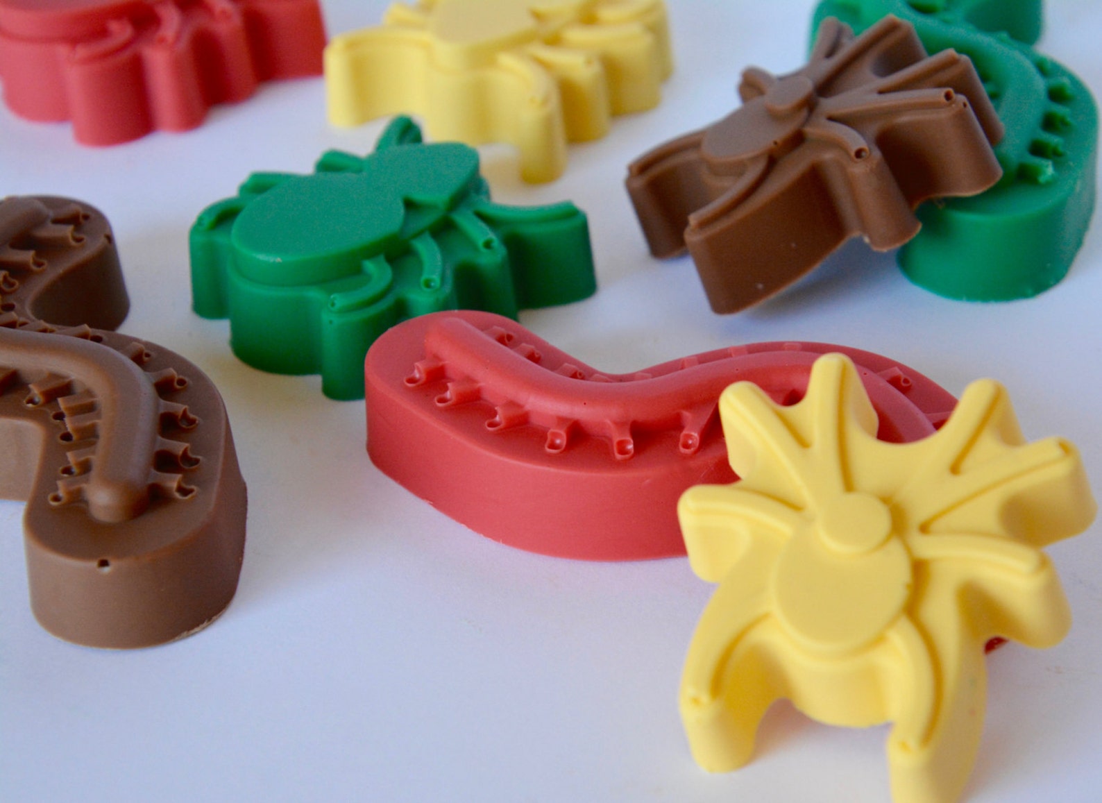 Chocolate Insect Favors 12 Chocolate Bugs Chocolate | Etsy