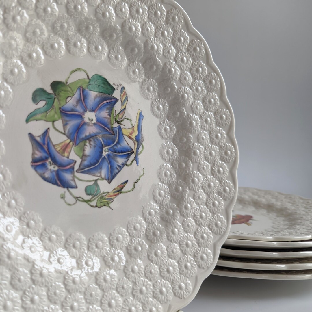 Set of 6 Copeland Spode Bermuda Flower Luncheon Plates, Morning Glory ...