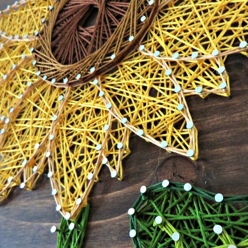 Daisy String Art Kit DIY String Art Picture Frame Adult | Etsy