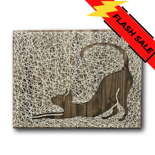 Cat String Art - Etsy