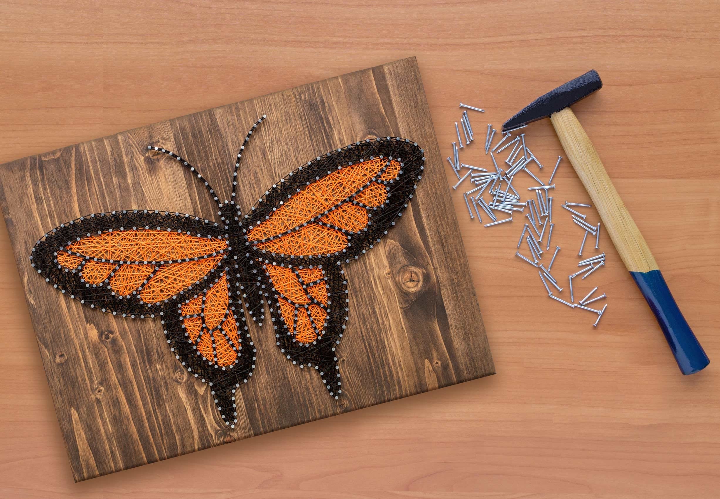 Butterfly String Art Kit Diy String Art Butterfly Decor Etsy 