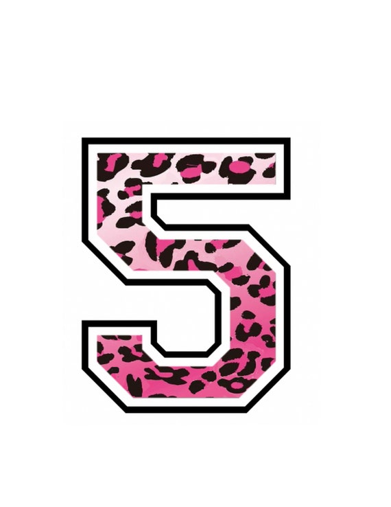 Pink Cheetah Number 1