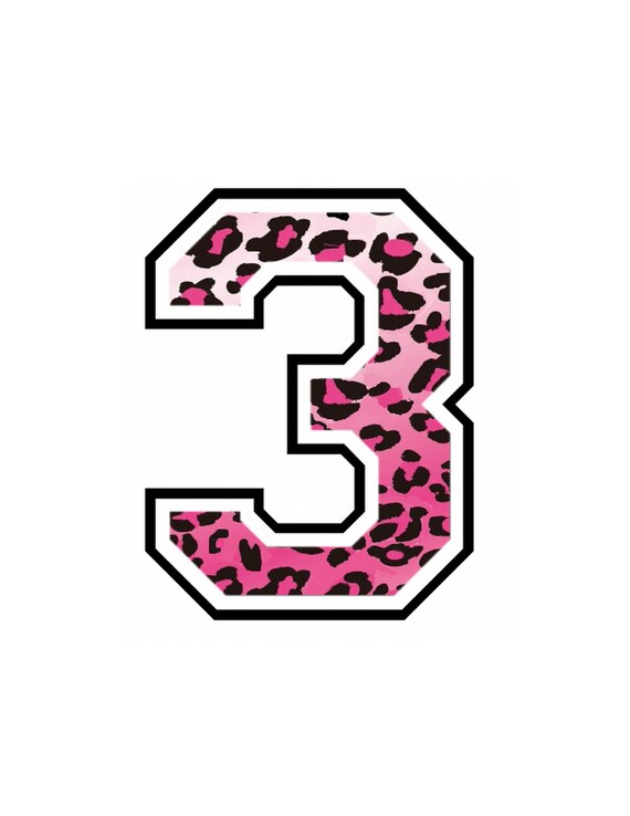 Pink Cheetah Number 1