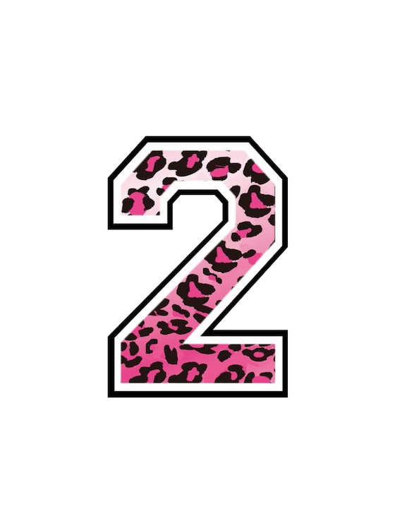 Pink Cheetah Number 1