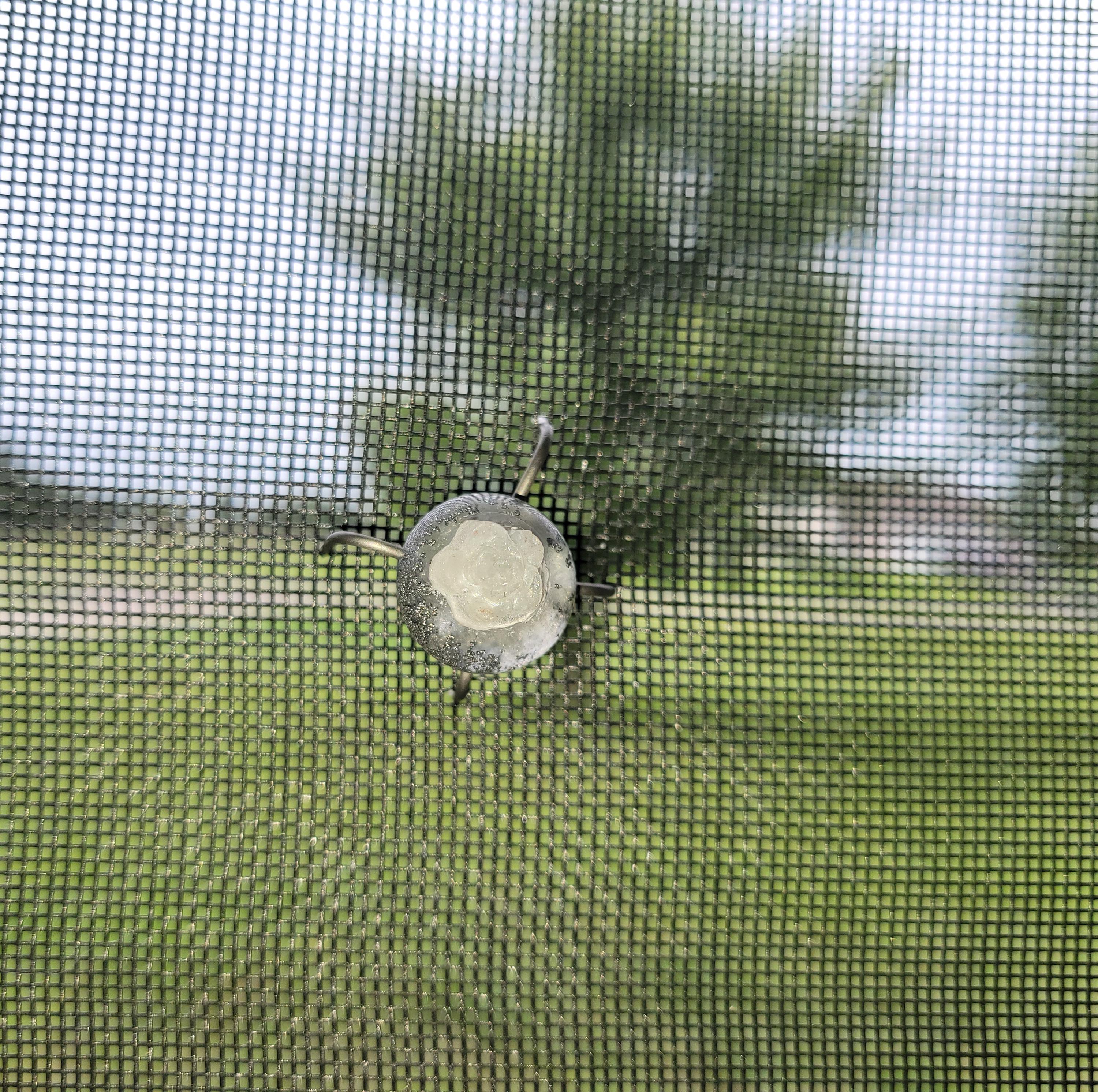 Screen Bugs BASIC Screen Savers Screen Window Decor - Etsy