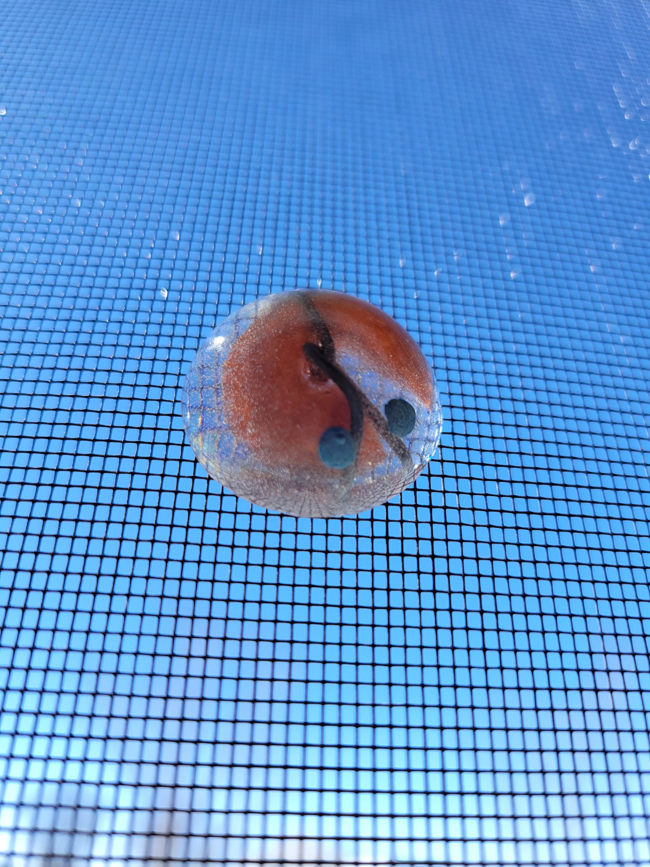 Screen Bugs FANCY Screen Savers Screen Window Decor - Etsy