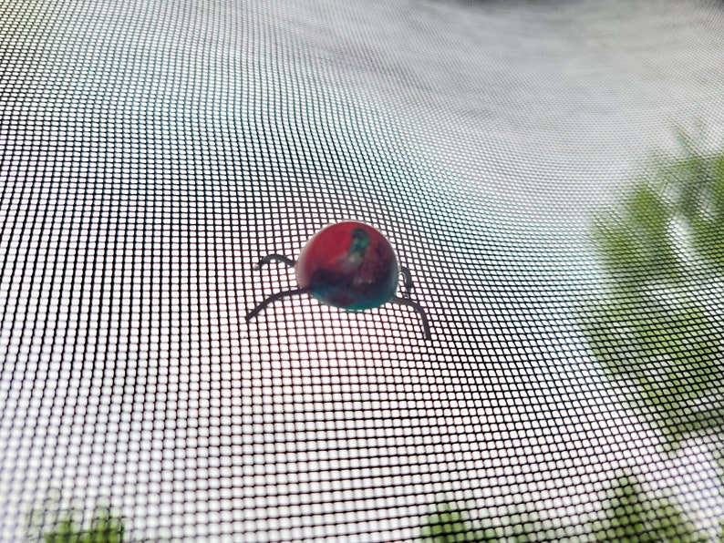 Screen Bugs BASIC Screen Savers Screen Window Decor - Etsy