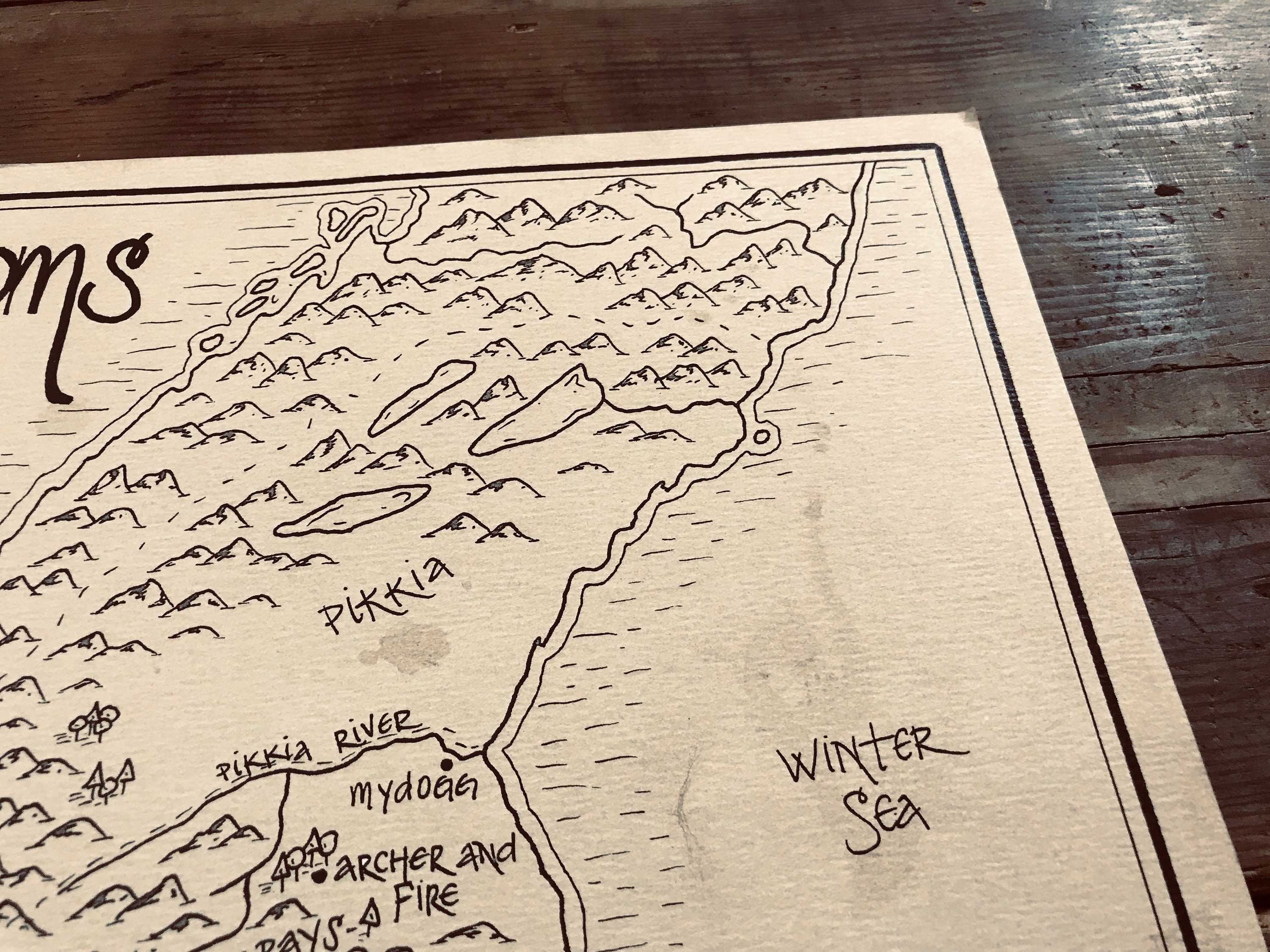 Map the Graceling World: Aged Handmade Hand Drawn Authentic | Etsy