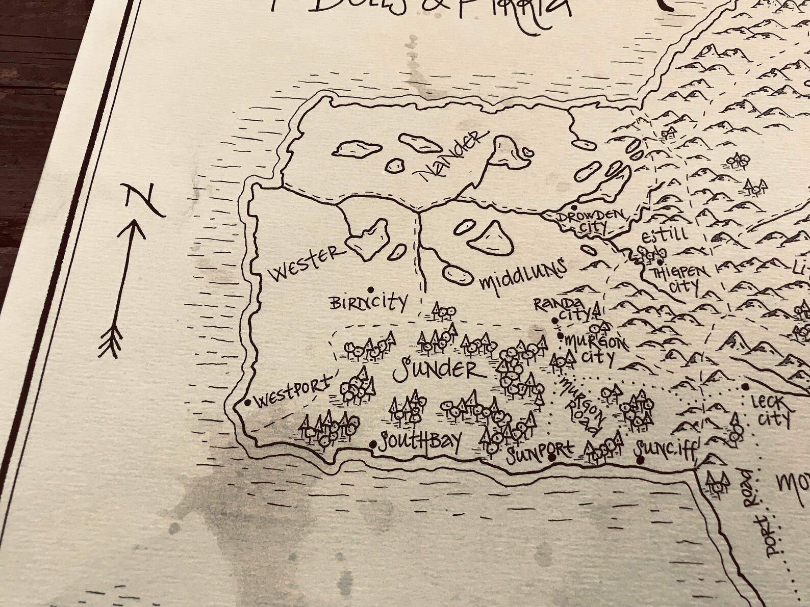 Map the Graceling World: Aged Handmade Hand Drawn Authentic | Etsy