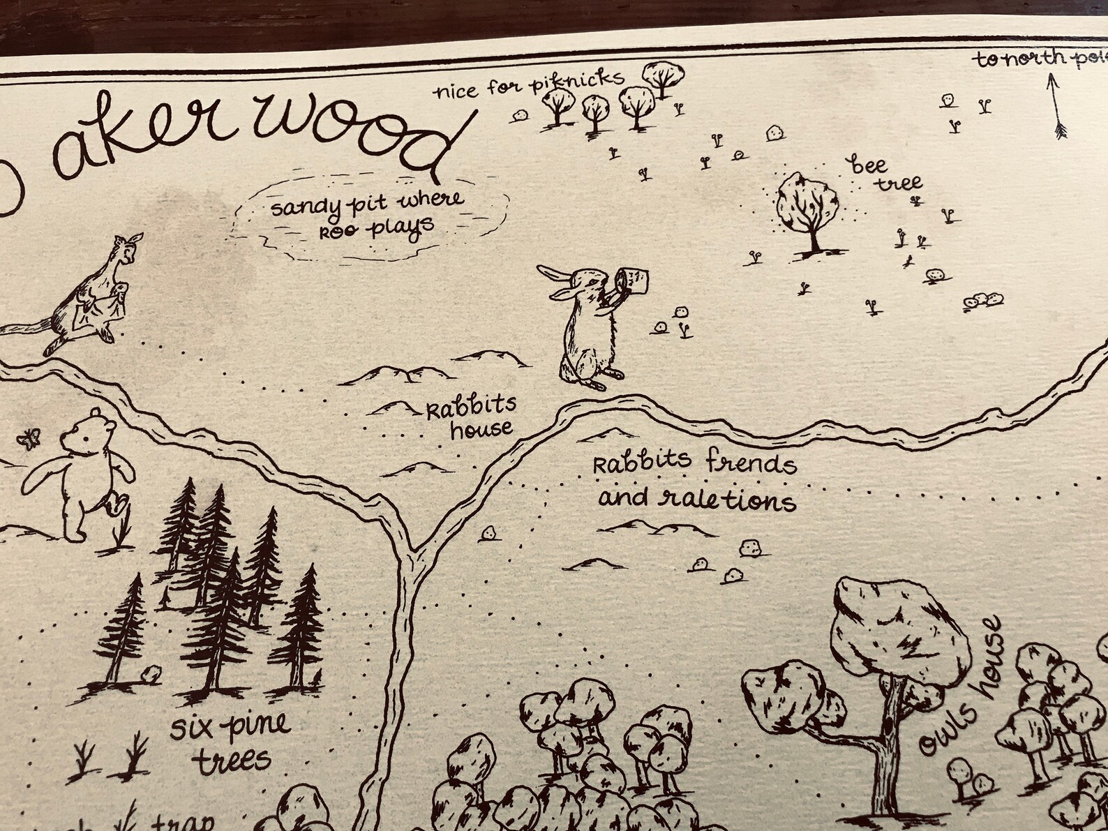 Map of 100 Aker Wood: Aged Handmade Hand Drawn Authentic - Etsy